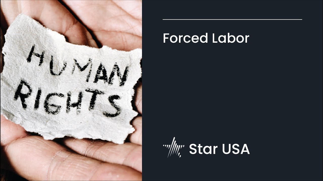 Forced Labor - YouTube
