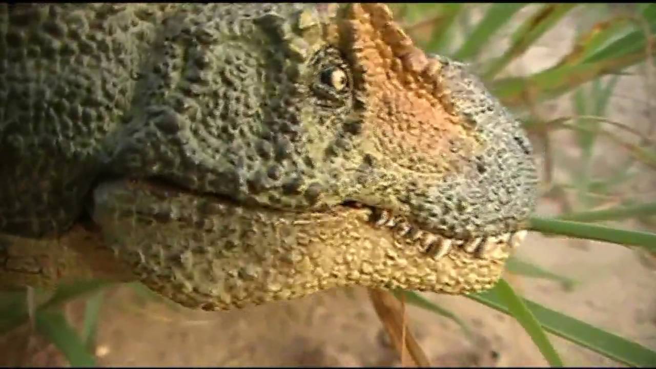 PREHISTORIC Episode 1- The New World - YouTube