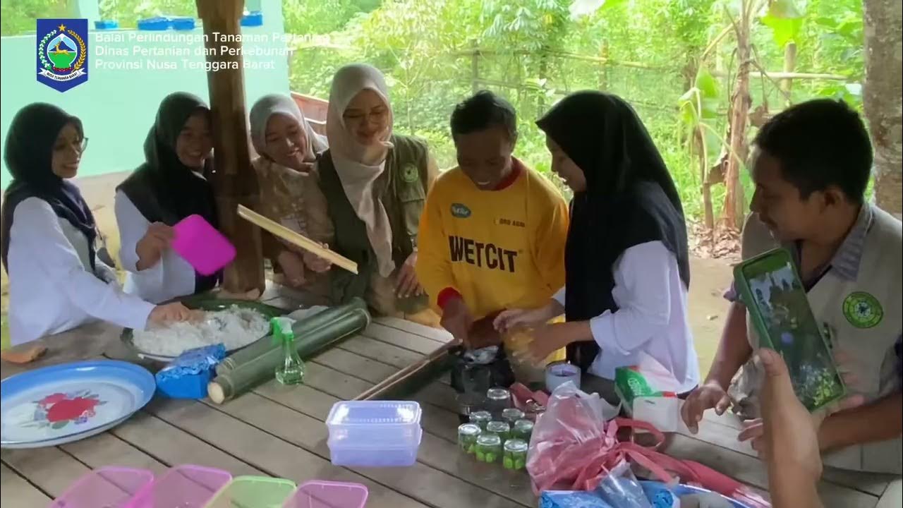 Kegiatan Eksplorasi APH poktan P4 Subur Makmur - YouTube