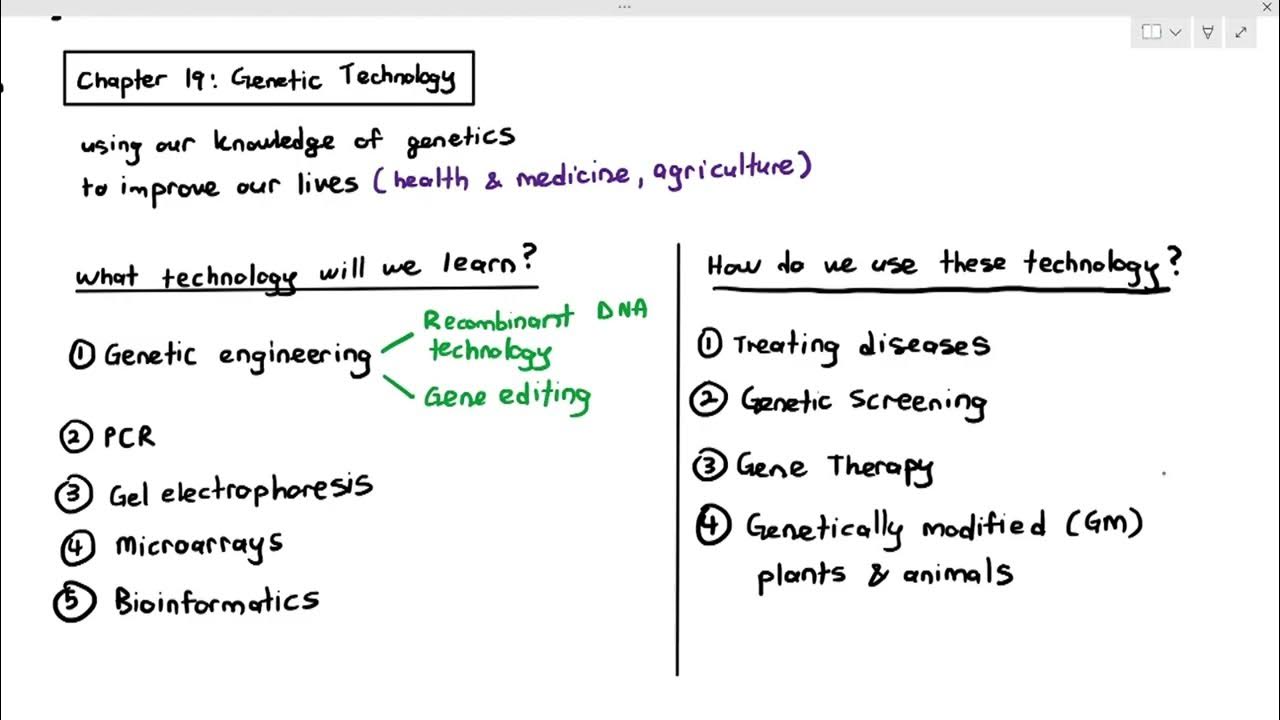 19-1 Introduction to Genetic Technology (Cambridge AS A Level Biology ...