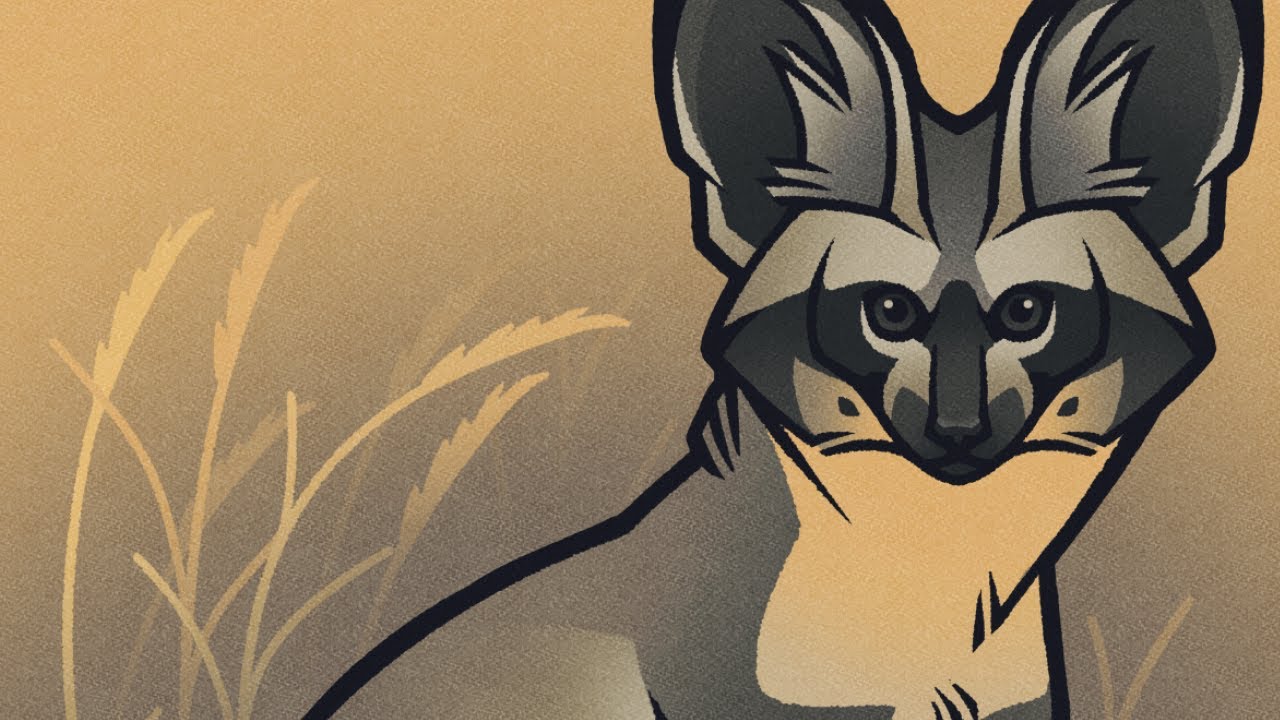 Speed Draw - Bat-Eared Fox - YouTube