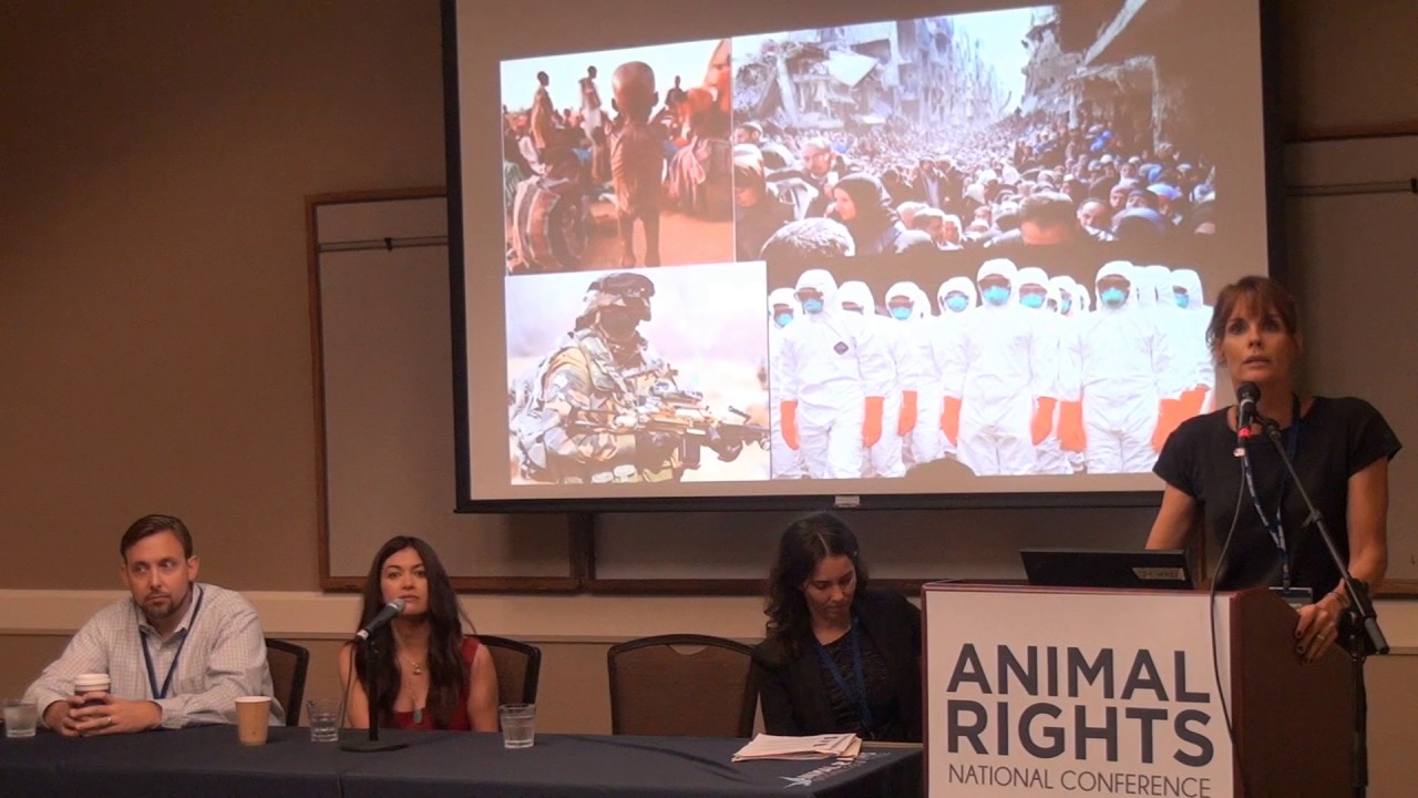 Human Overpopulation Panel - Animal Rights National Conference - YouTube