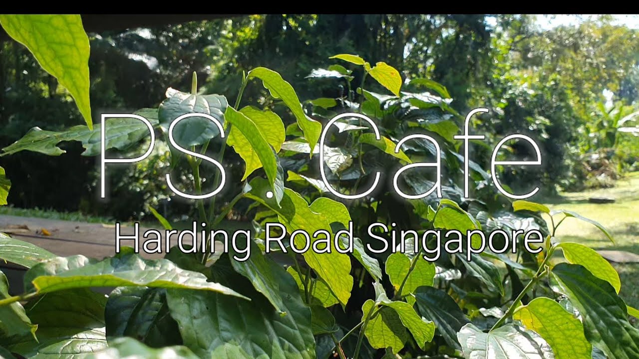 PS.Cafe @ Harding Road | Dayo Henyo Vlog - YouTube