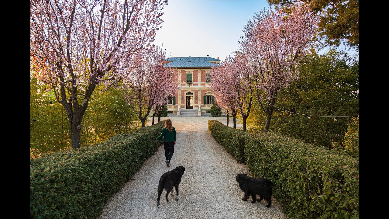 Frecciarossa winery: il nostro modo di lavorare - YouTube