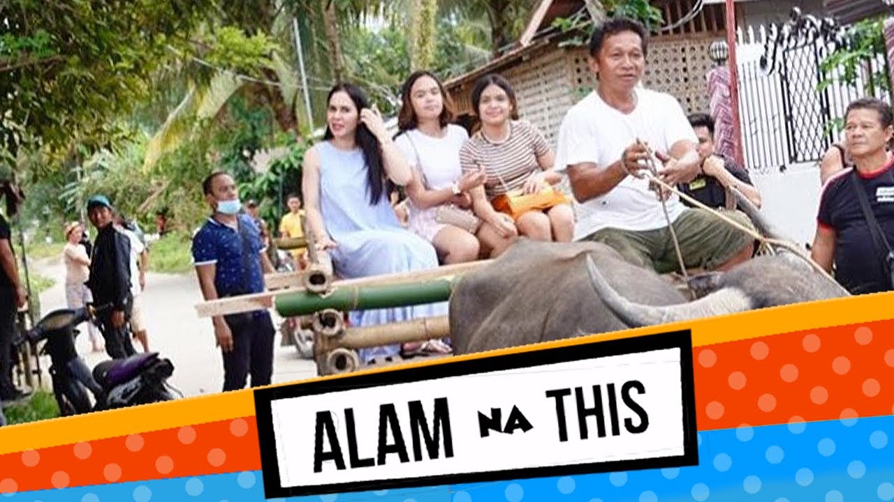 Mag-iinang Jinkee Pacquiao sumakay ng kalabaw, kinuyog dahil walang ...