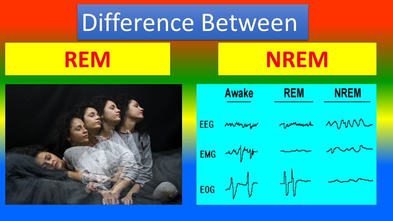 Difference between Rapid eye movement sleep (REM) and Non-rapid eye ...