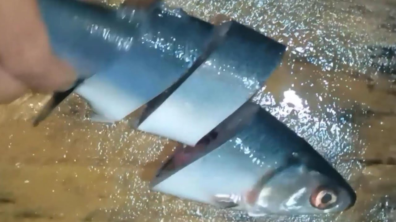 LET'S CLEAN AND SLICE MILKFISH! - YouTube