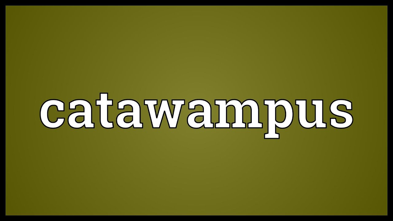 Catawampus Meaning - YouTube