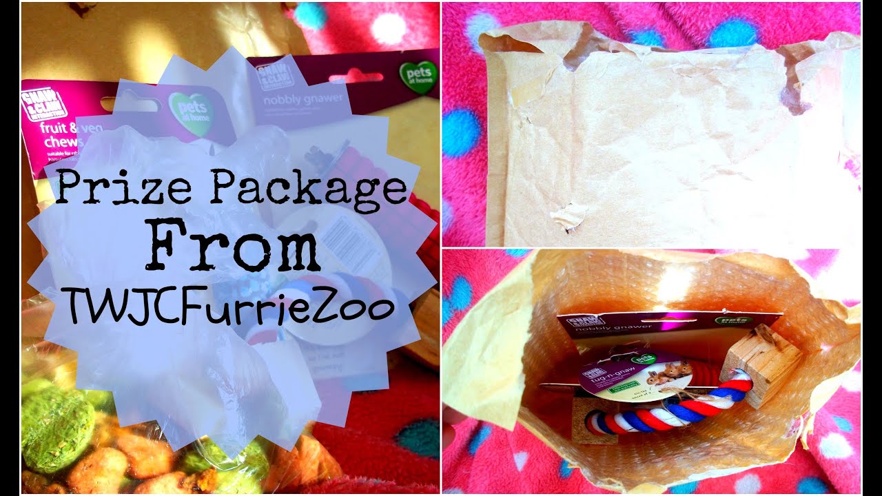 Prize Package From TWJCFurrieZoo! | RosieBunneh - YouTube