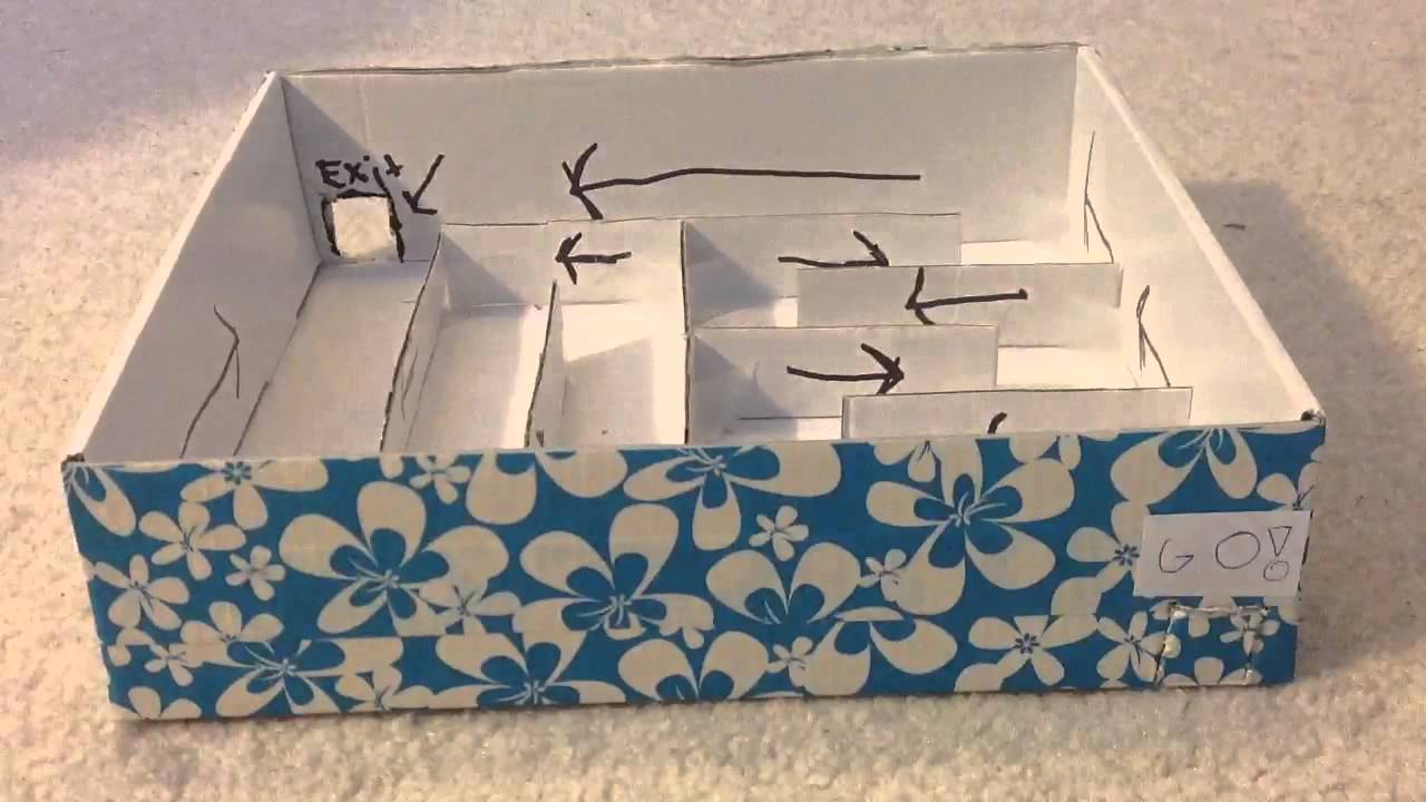 Homemade Hexbug Nano Maze - YouTube