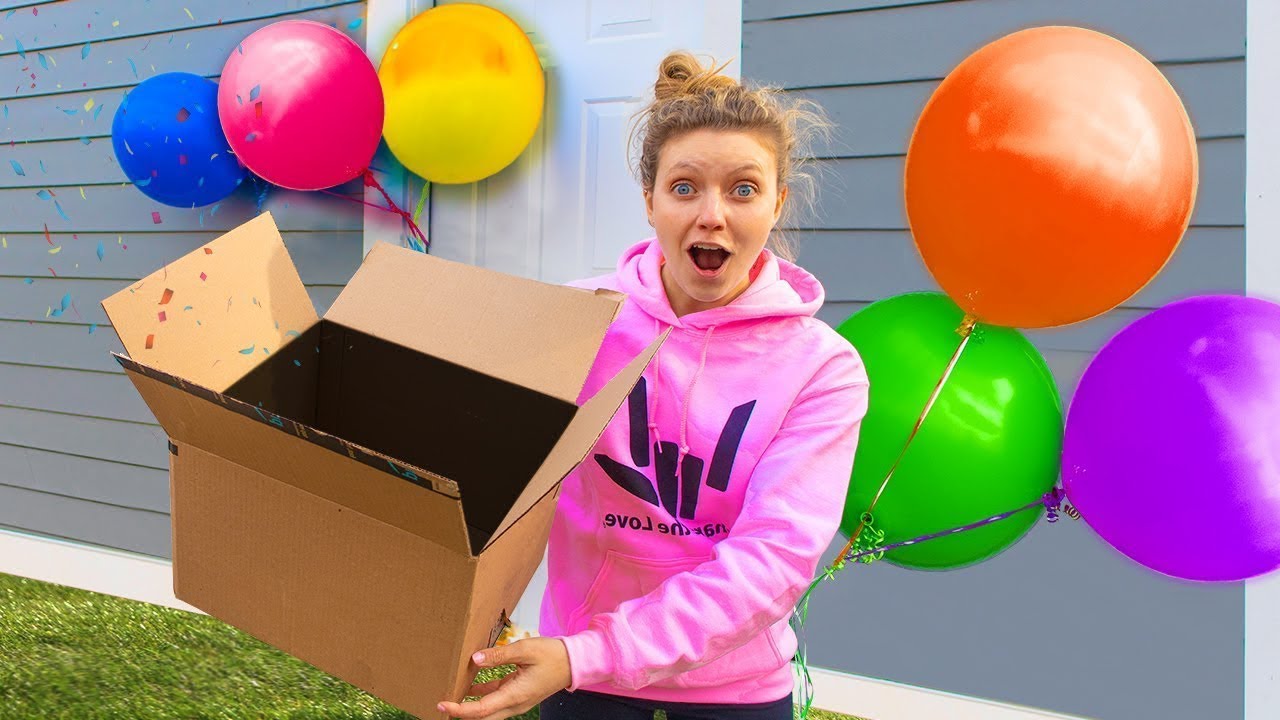 What’s inside the Sharer Family Mystery Box? NEW SURPRISE REVEAL ...