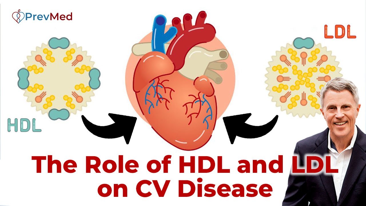 How Insulin Resistance Can Impact Your Lipid Levels - YouTube