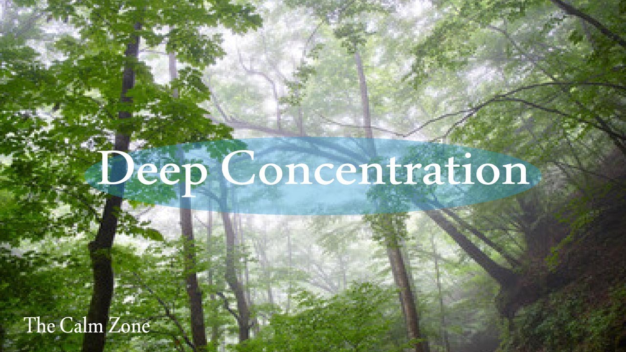 Tranquility: Calming Music for a Focused and Anxiety-Free Mind © The ...