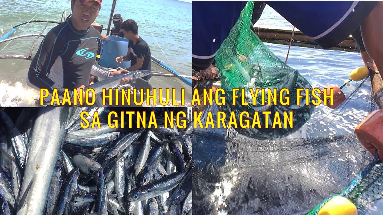 PAANO MANGHULI NG FLYING FISH | BUHAY MANGINGISDA | SIR RENZ - YouTube