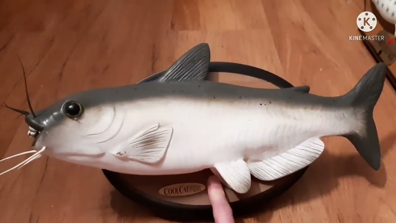 Singing Fish Collection 2 January 12 2022 - YouTube