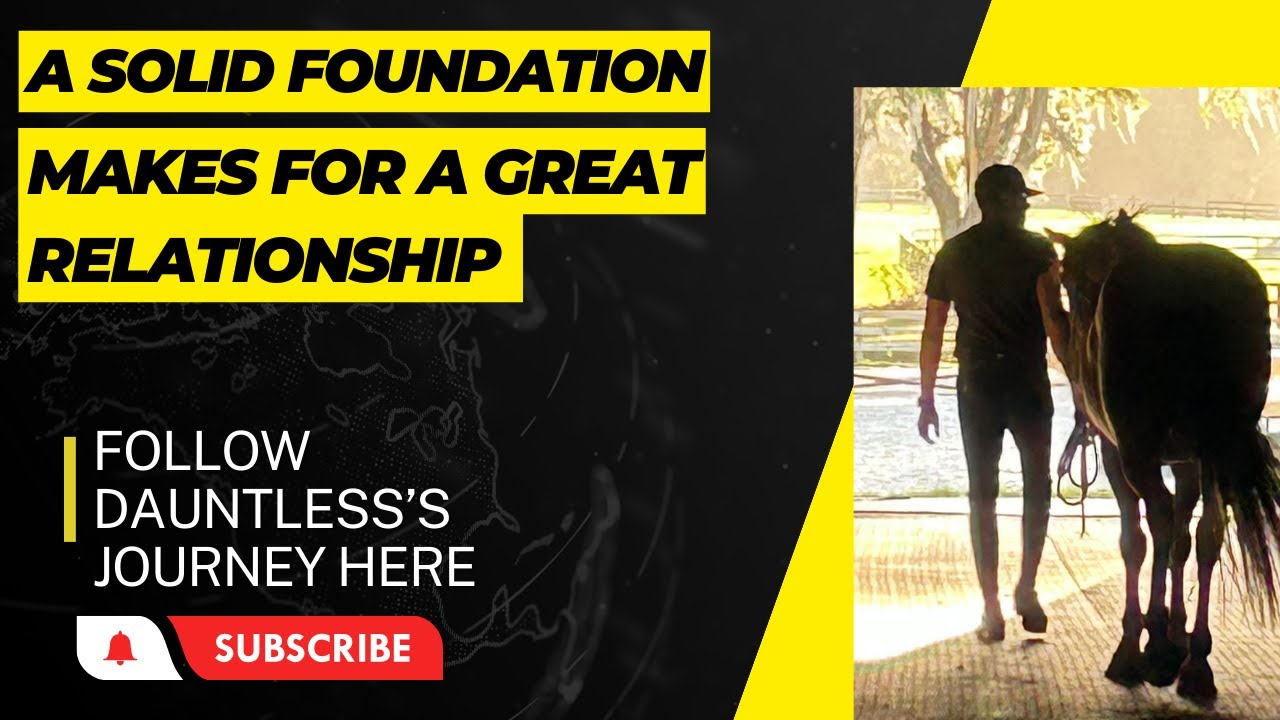 FROM REAR,BUCKING & ATTACKING TO THE BEST HORSE I HAVE EVER OWNED ...