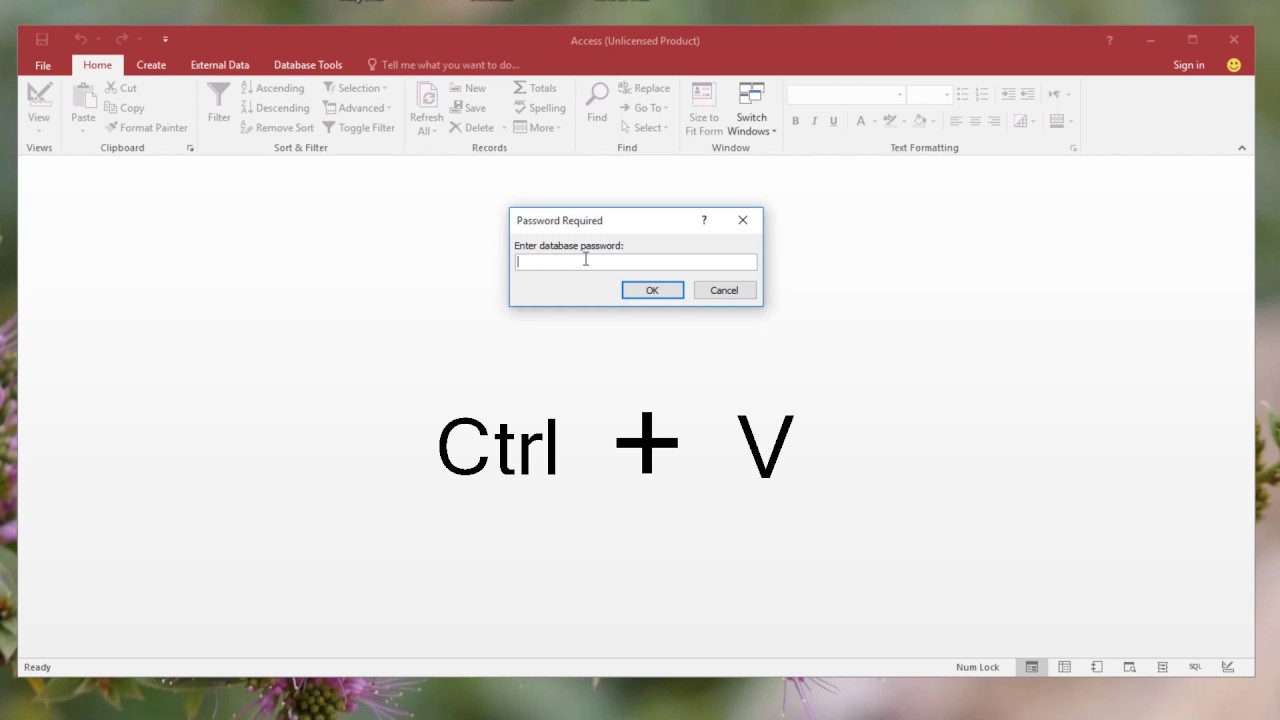 Recovery database access 2003 - 2016 step by step - YouTube