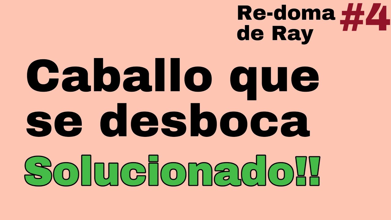 Como arreglar con una embocadura suave a un caballo que se desboca. La ...