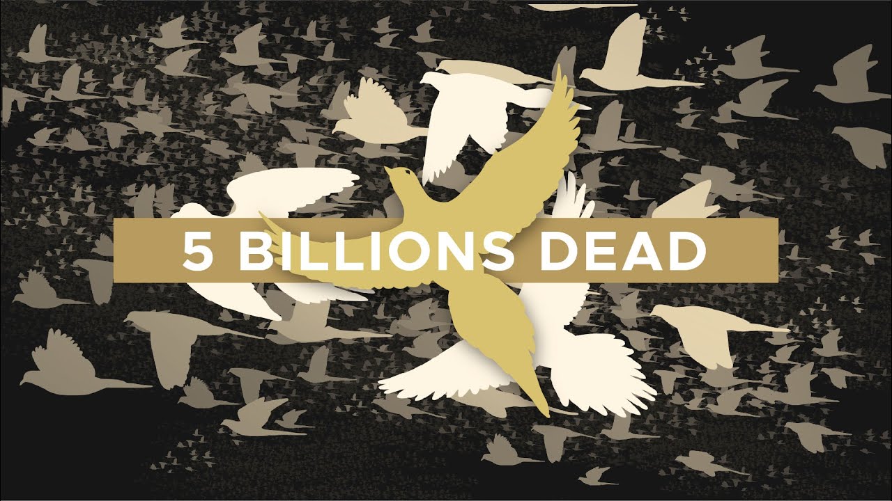 The Story of the Greatest Man-Made Extinction - YouTube