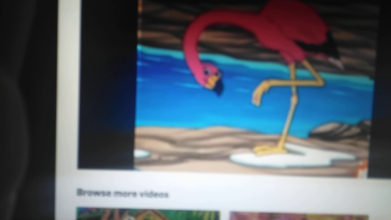 Go Diego go a new flamingo Mami alternative ending - YouTube
