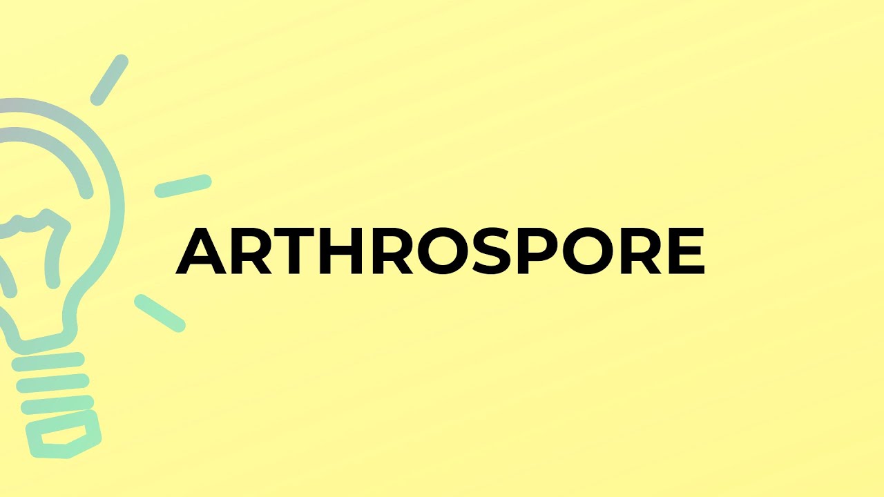 Arthrospores