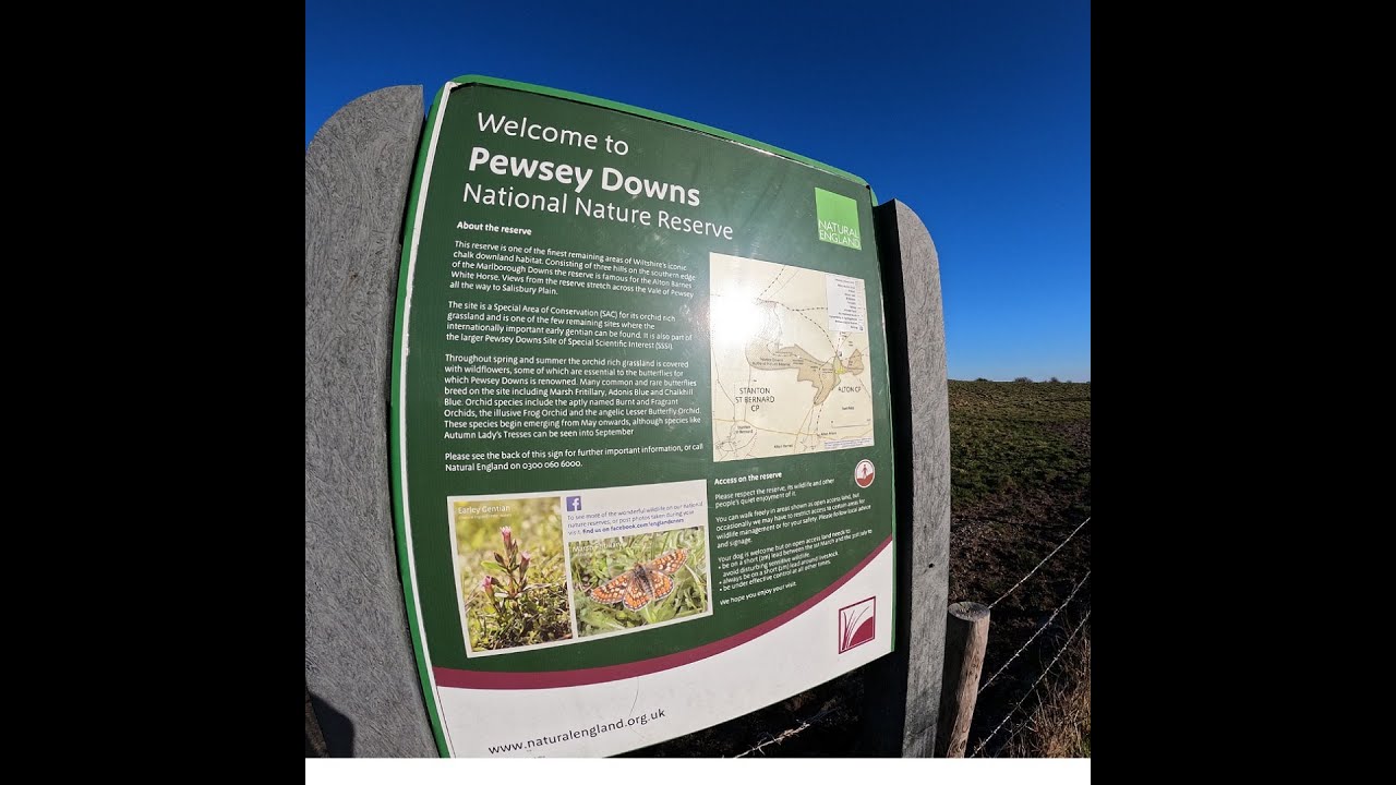 Climbing Milk Hill Wiltshire's Highest Point On the Pewsey Downs ...