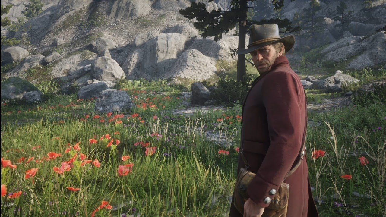 Arthur looked so wonderfully confused and I would too | Red Dead ...