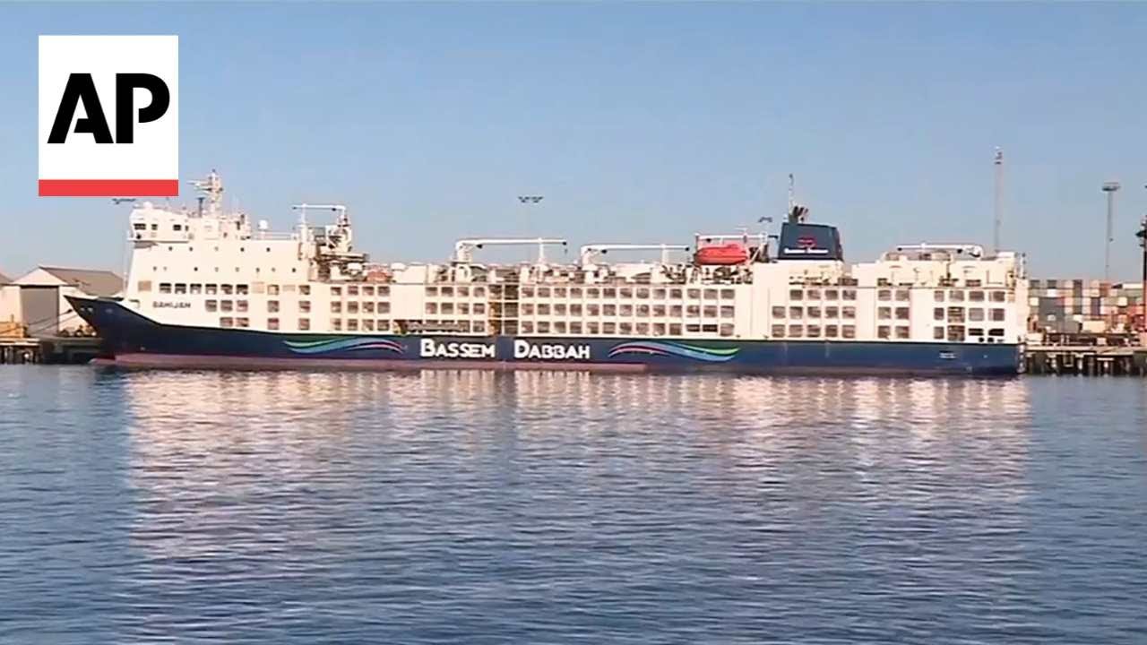 Ship carrying thousands of livestock returns to Australia after month ...