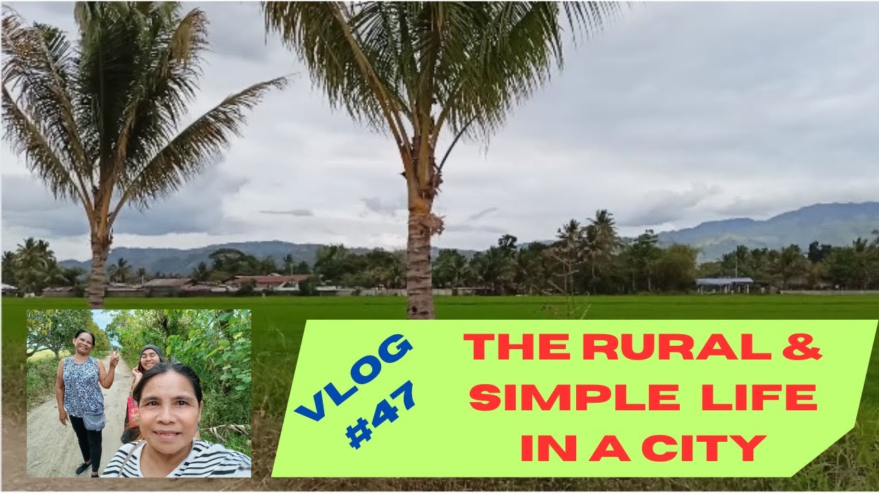 Vlog #47: The rural and simple life in a City. - YouTube