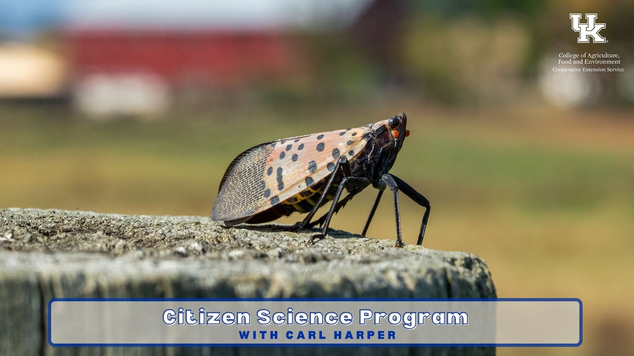 Citizen Science Program - YouTube