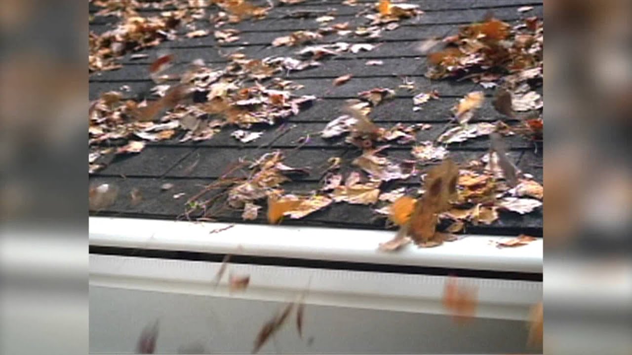 03 - Squirrel Strikes Back HD Gutter Depot Leafguard - YouTube