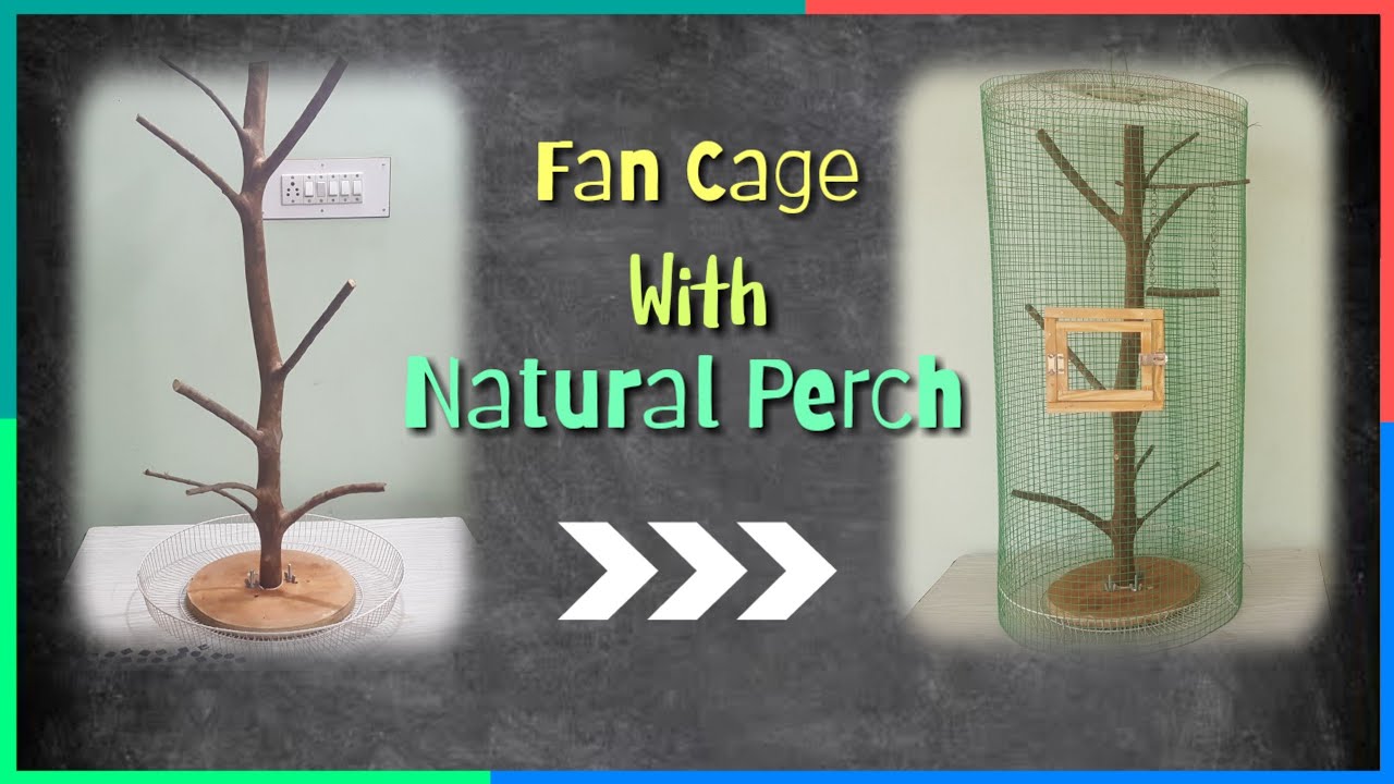 DIY Fan Cage With Natural Perch | How to make Fan cage for Birds - YouTube