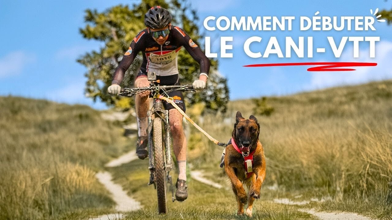 CaniVTT : par où commencer quand on débute ? - YouTube