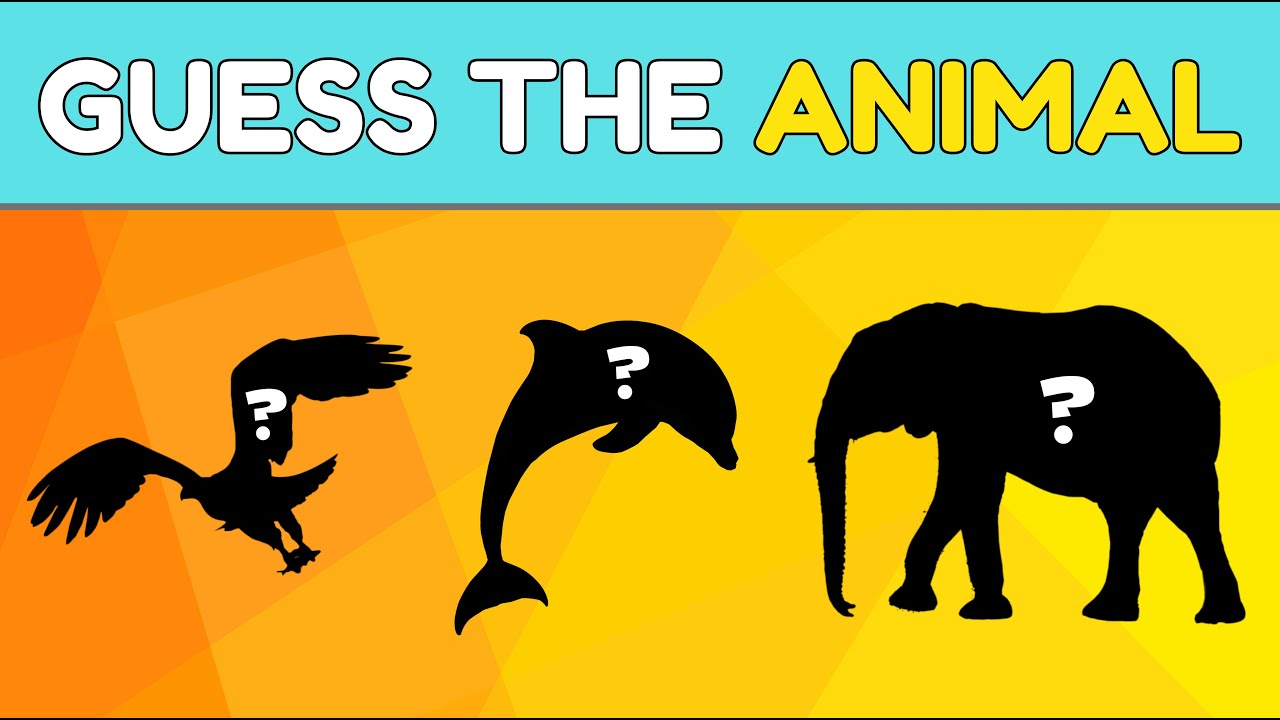 Guess The Animal by Shadow | Guess the Animal Quiz - YouTube