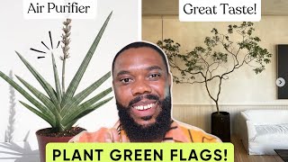 6 Plants That Prove You're Doing Adulthood Right 
