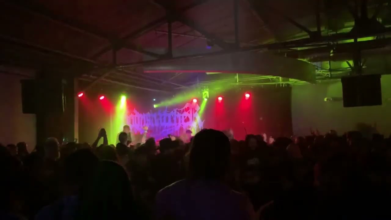Paleface Swiss Curse Us LIVE Warehouse Live YouTube paleface-swiss-curse-us-live-warehouse-live-youtube