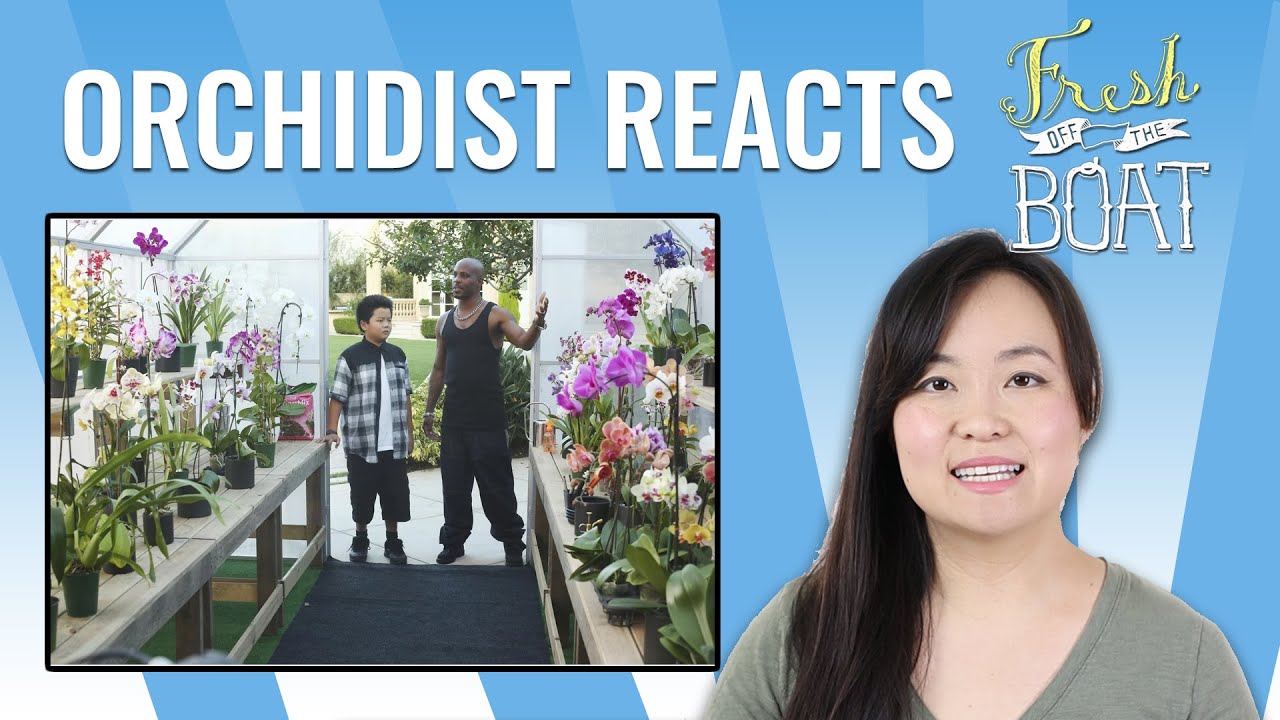 Orchid Grower Reacts to DMX's Orchid Collection from Fresh off the Boat ...