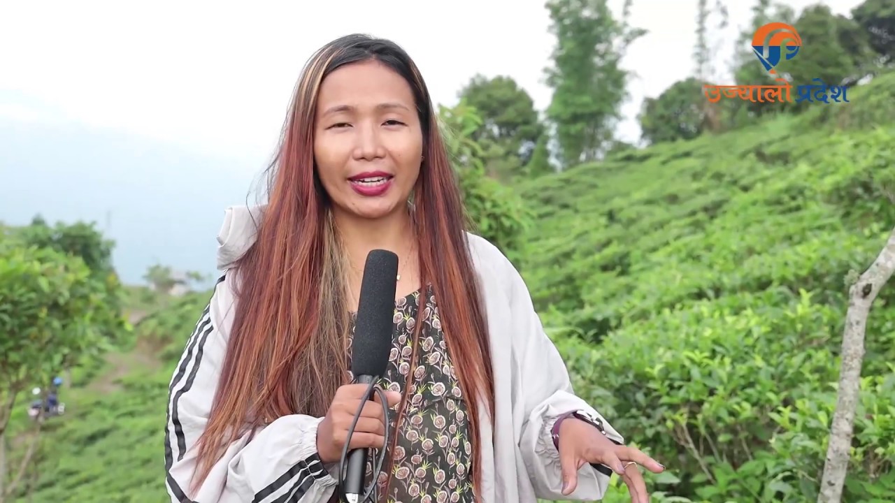 Kerabari Rural Municipality Documentary 2019 - YouTube