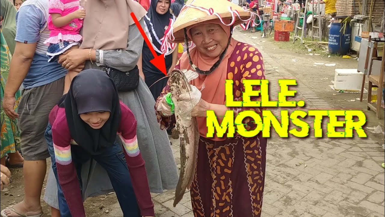 Lomba Tangkap Ikan Lele Monster - YouTube