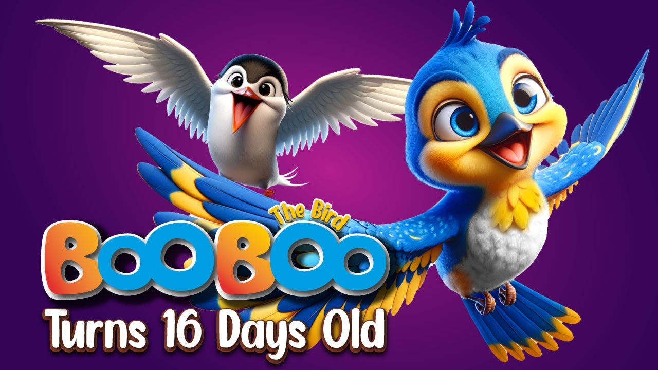 BooBoo the Bird Turns 16 Days Old | IQWizard Magical Video/Audio Book ...