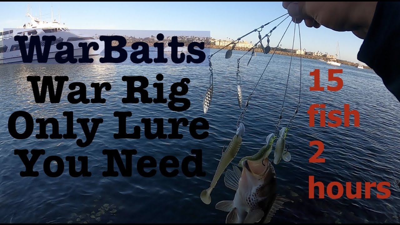 Best Bait for Spotted Bay Bass WarBaits War Rig - YouTube