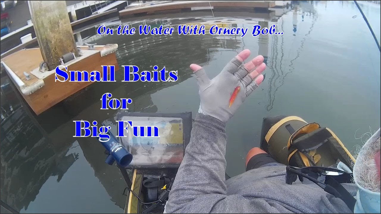 Float Tube Fishing - Big Fun on Small Baits - YouTube