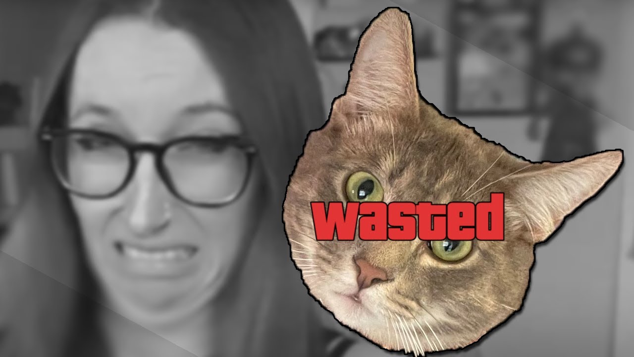 Cat Gets Wasted - YouTube
