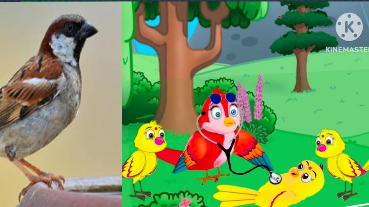 chidiya aur tower.#viral #chidiyawalacartoon #story #chidiya #chidiya ...