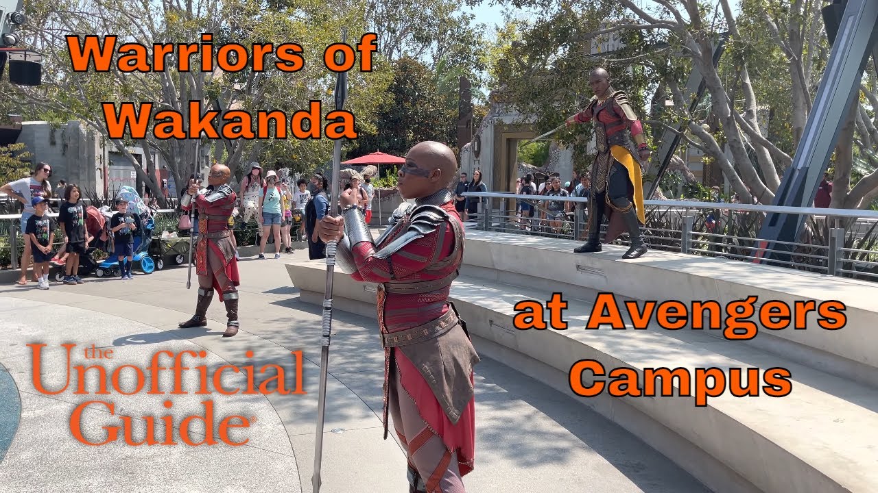 Warriors of Wakanda: Disciplines of the Dora Milaje show at Disney ...