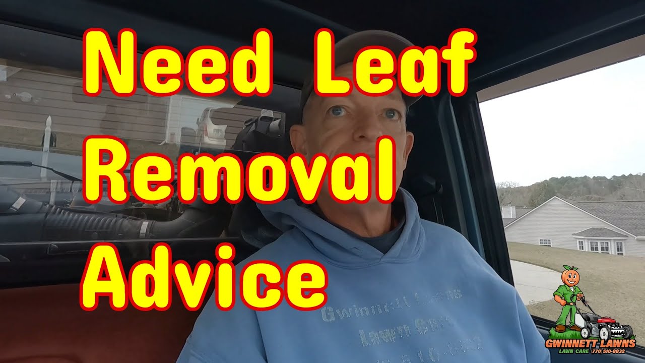 I need your leaf removal advice please! - YouTube