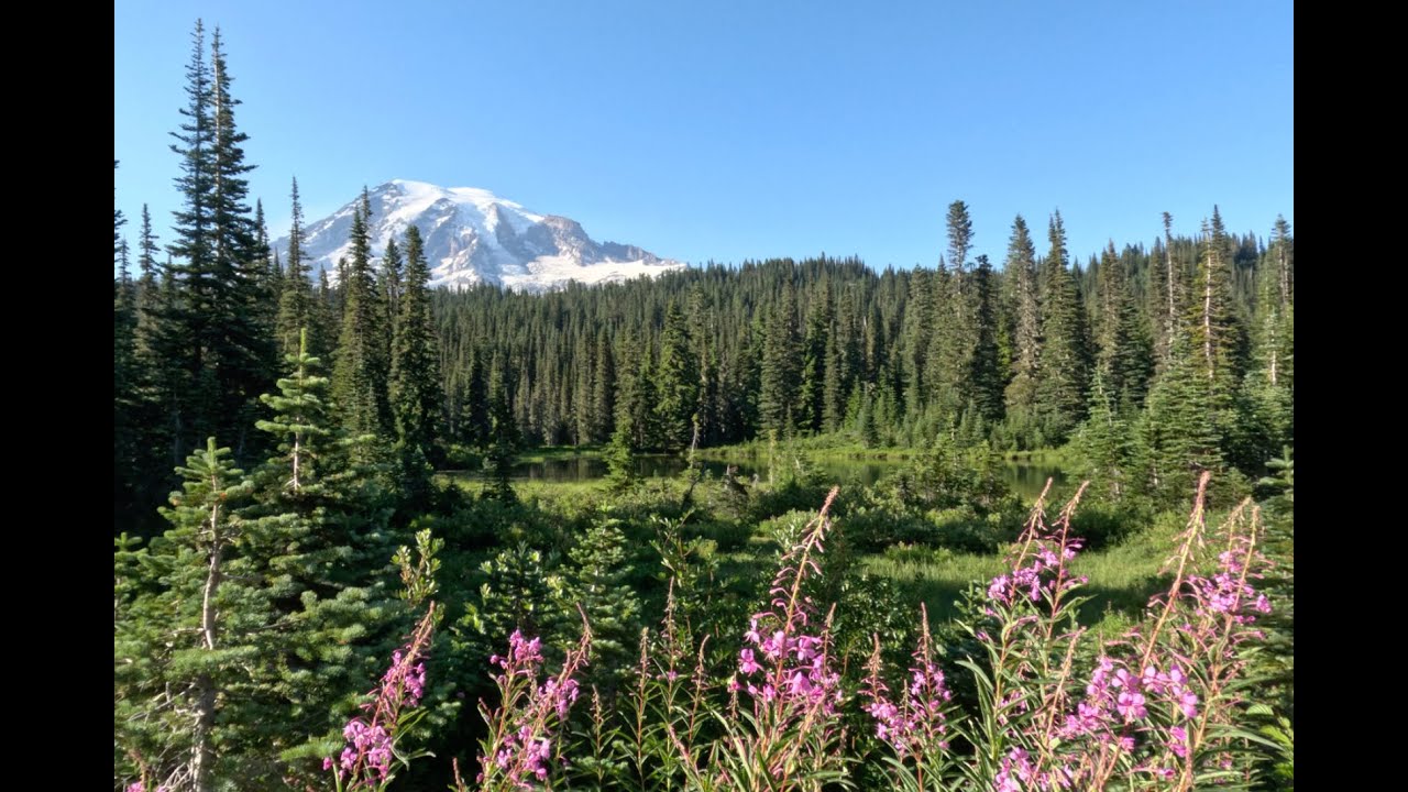 High Lakes Loop Trail | Mt. Rainier National Park - YouTube