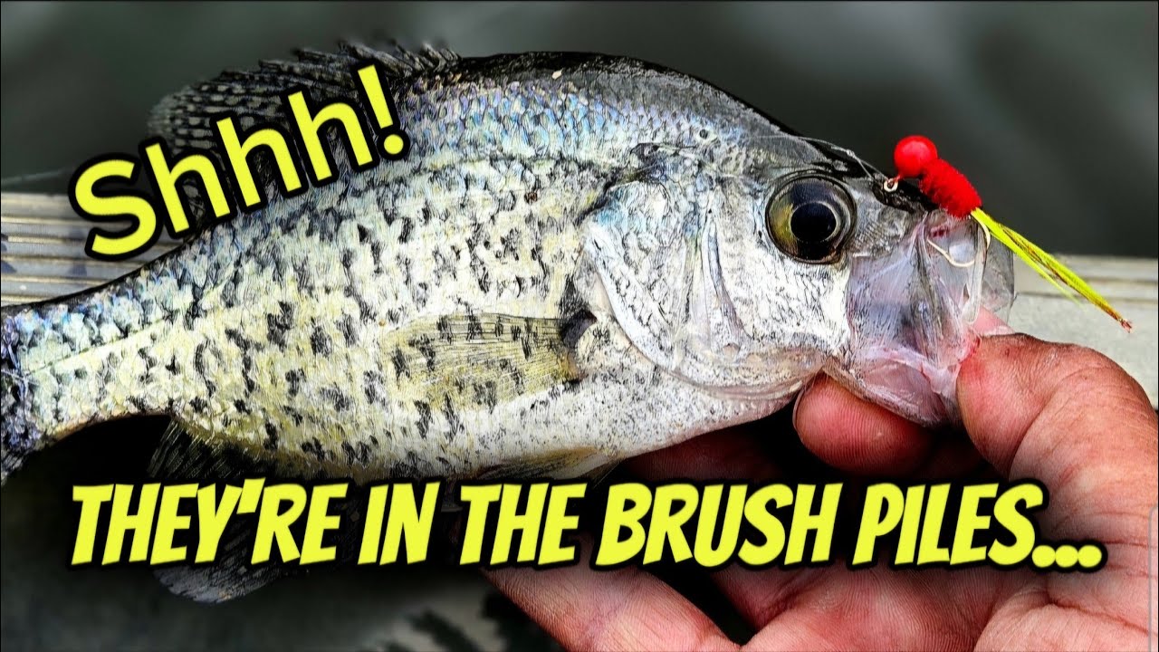 3 Different Ways to Catch MORE CRAPPIES... (Tips and Techniques ...