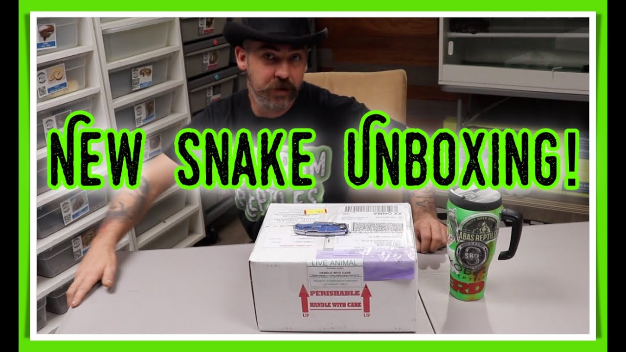 New Snake Unboxing! - YouTube