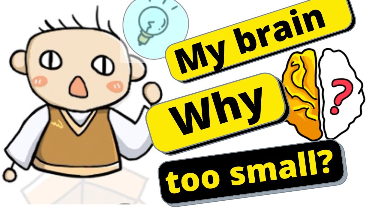 Why i have smallest brain in the world? | Brain out | Brain Game | Avo ...
